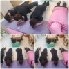 광주 동구 점핑 다이어트 점핑하이 계림2호점 수업영상 네이버 블로그